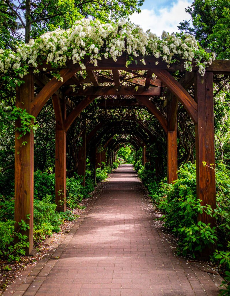 19 Idées d'Arches de Jardin Durables pour un Extérieur Magnifique ...